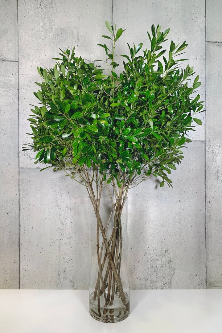 LAYER - HUCKLEBERRY Fresh-Cut Branches | layerny.com